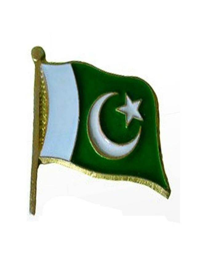 Pakistan Flag Badge – jadeed.store