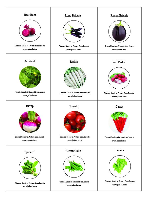 Selection Grade Winter Vegetable Seeds - Choose Any 6 Varieties ...